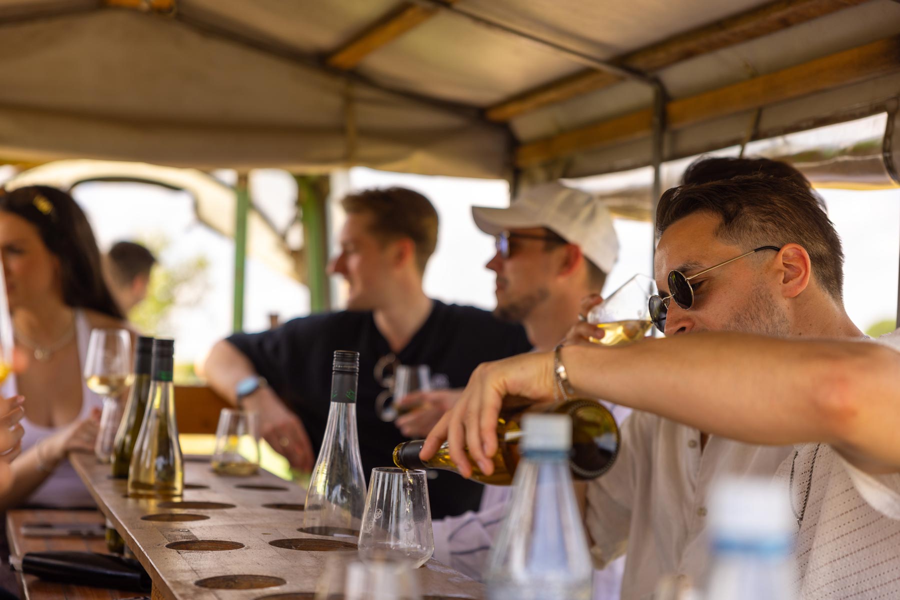 Funzelfahrt Mainz | Planwagenfahrt durch die Weinberge für 35 € p.P ...